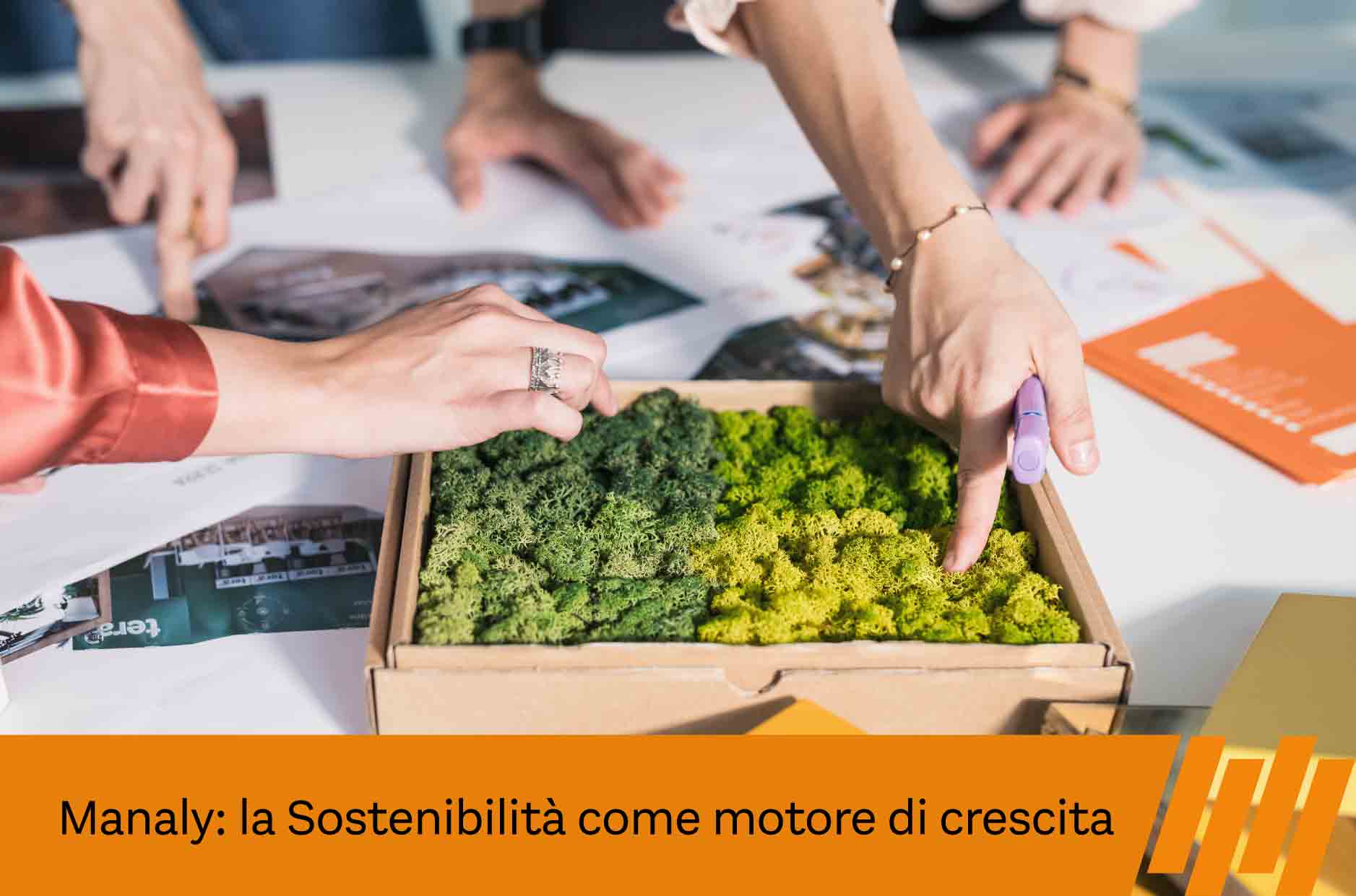 Manaly: Sustainability as a Growth Engine - Manaly